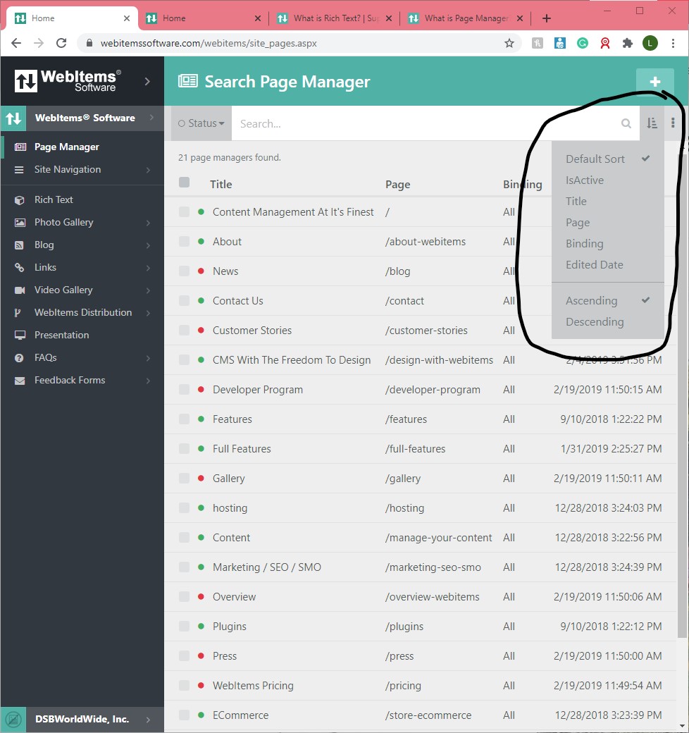 What is Page Manager? | Support | WebItems® Software
